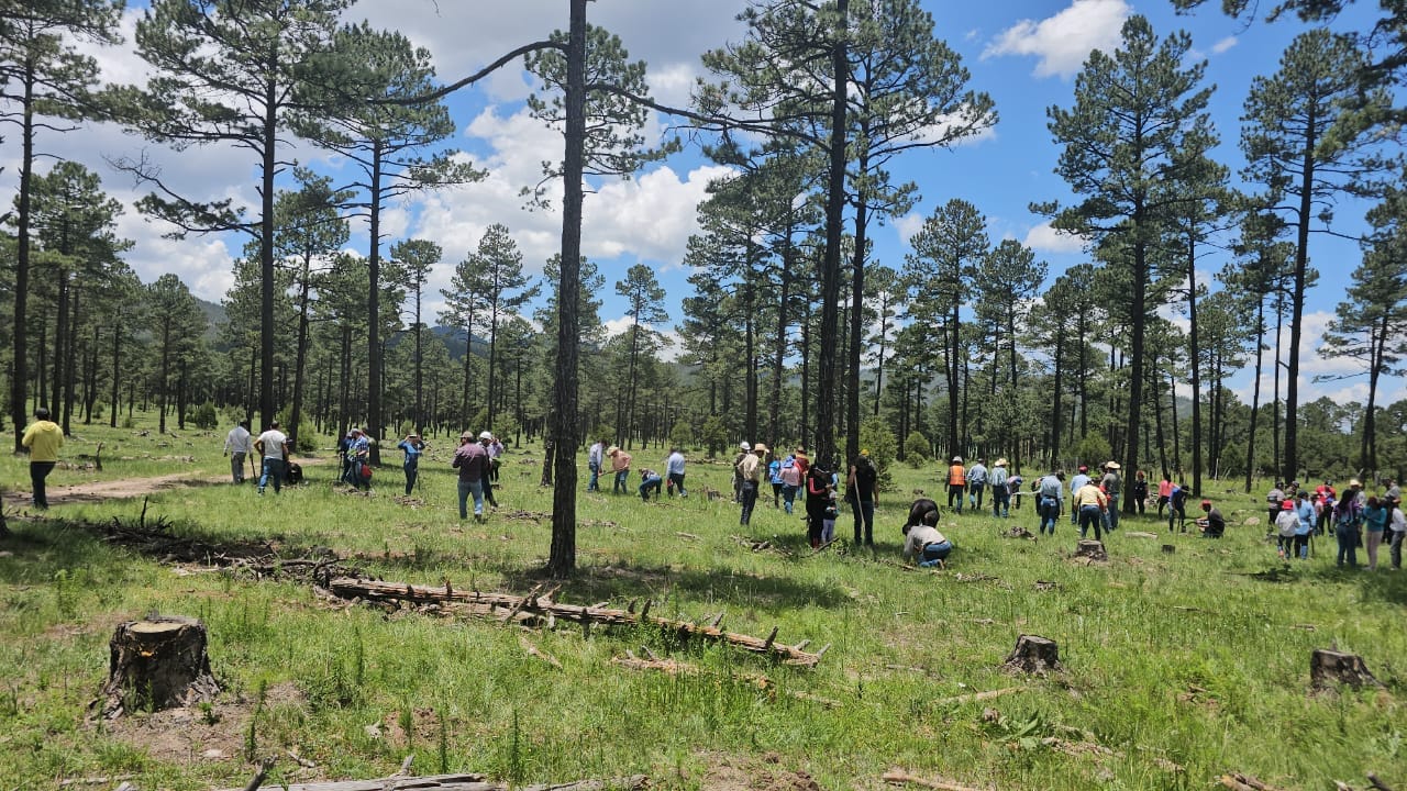 Otaez – H. Ayuntamiento de Otáez